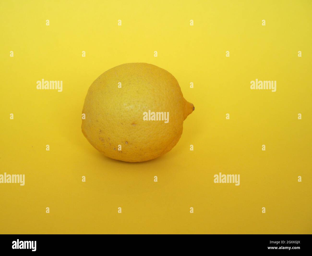 lemon fruit (scientific name Citrus limon) over yellow background Stock ...