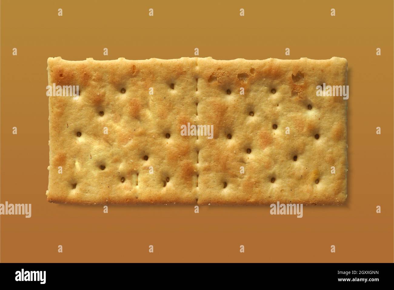 cracker biscuit over matching colour gradient background Stock Photo ...