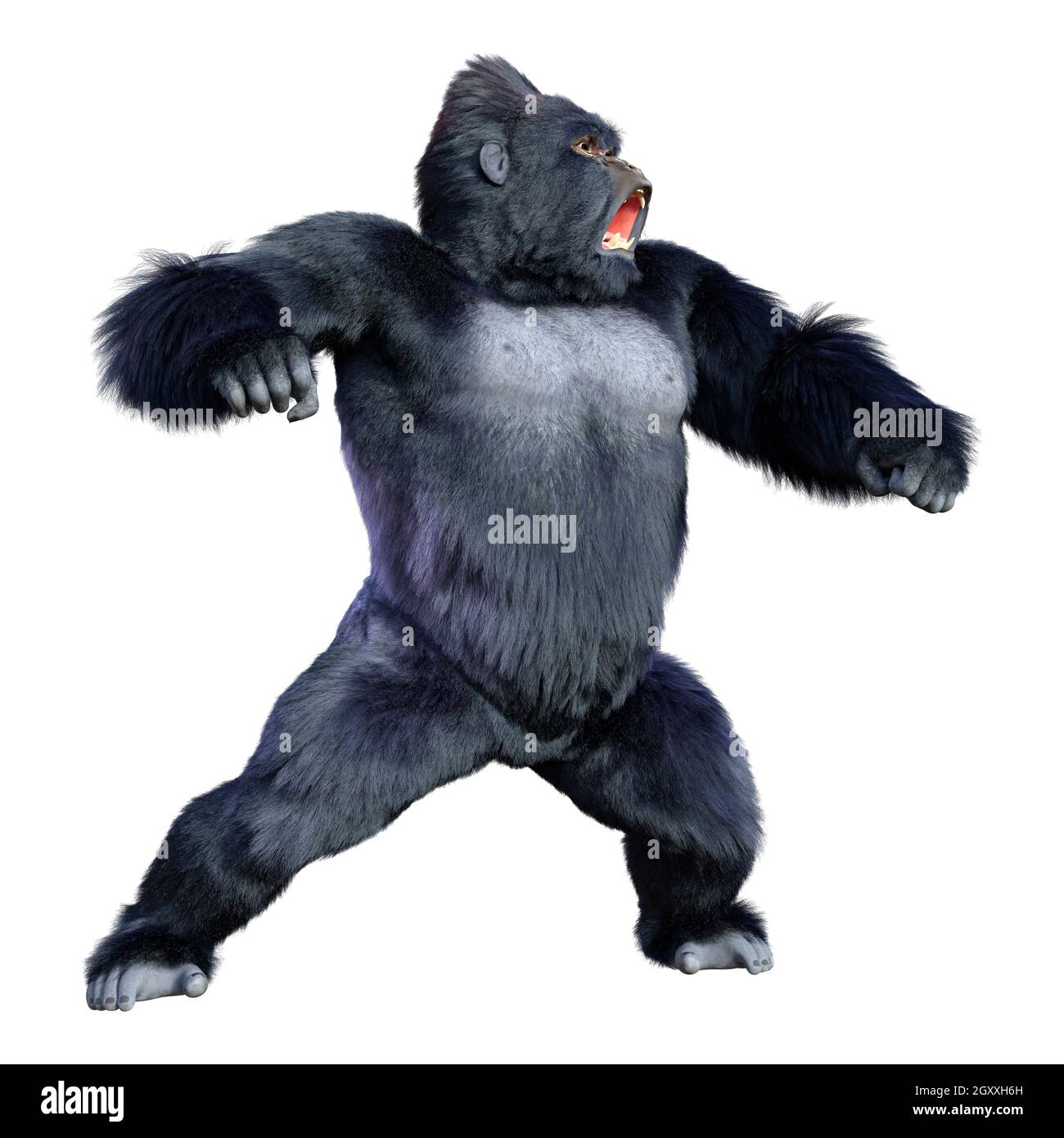 Gorilla Attack Victim