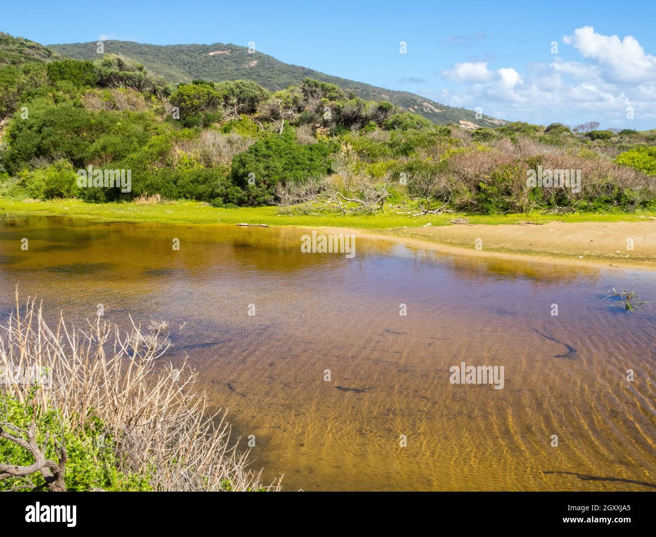 Frasers Creek close to its mouth at the Oberon Bay Campground - Wilsons ...