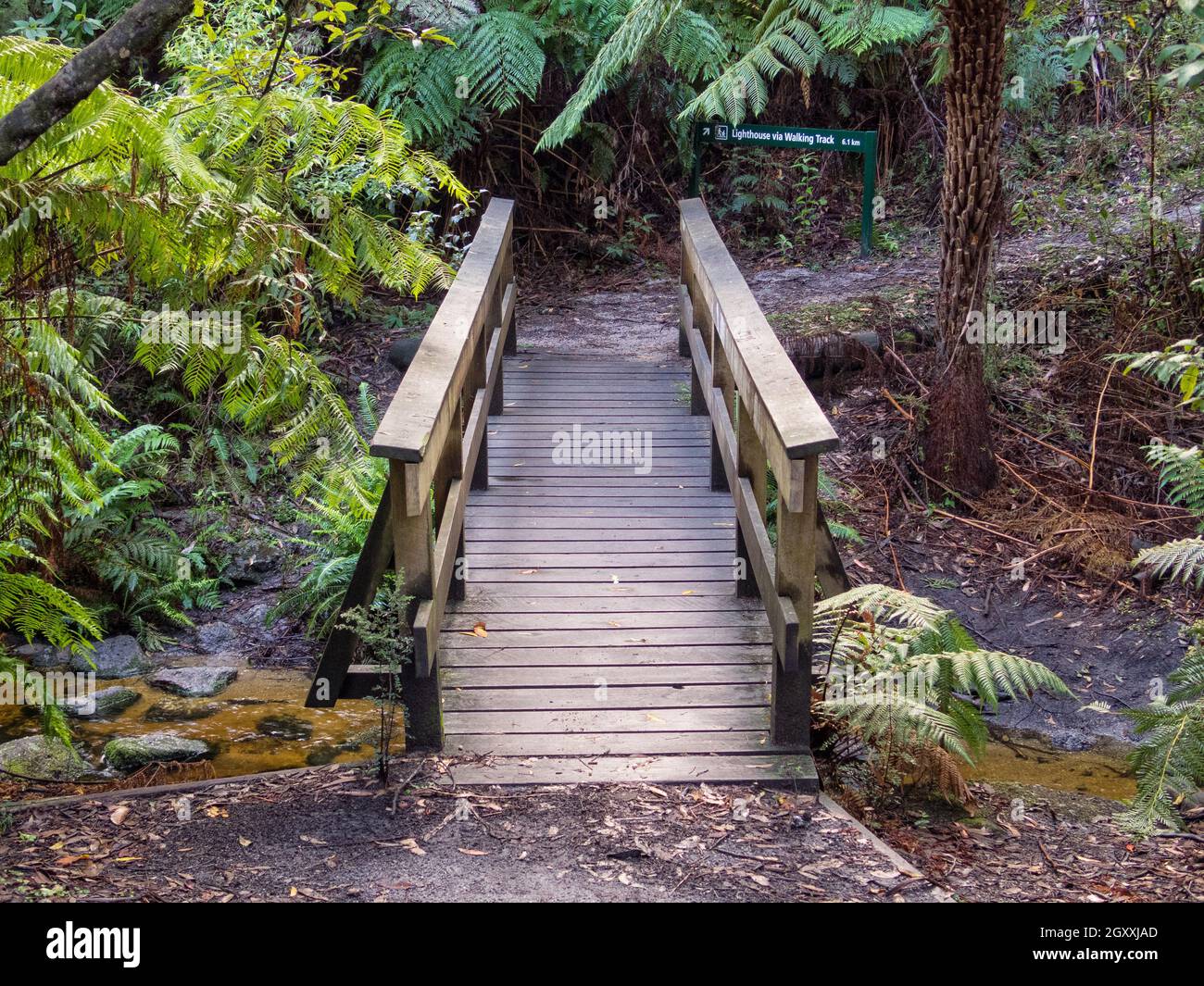 Wooden footbridge over the Roaring Meg Creek - Wilsons Promontory ...