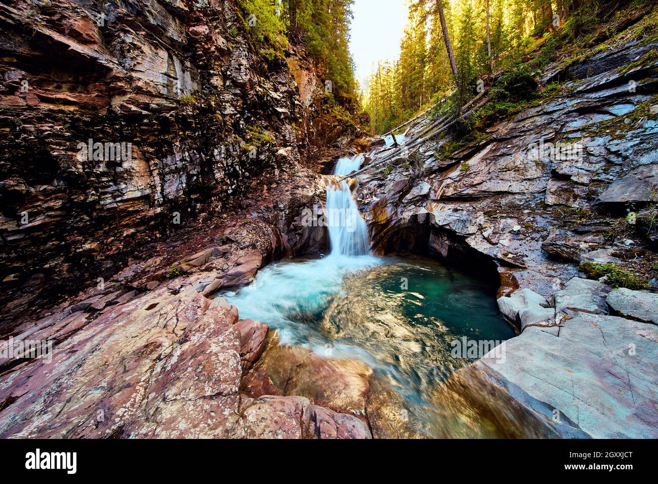 Tree mountain river against falls hi-res stock photography and images ...