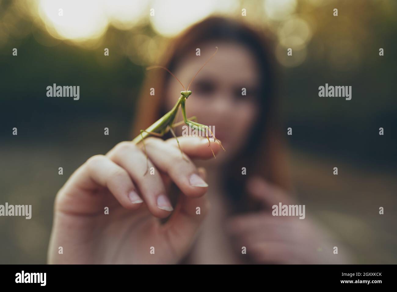 woman with a praying mantis in hand nature stroll Stock Photo - Alamy