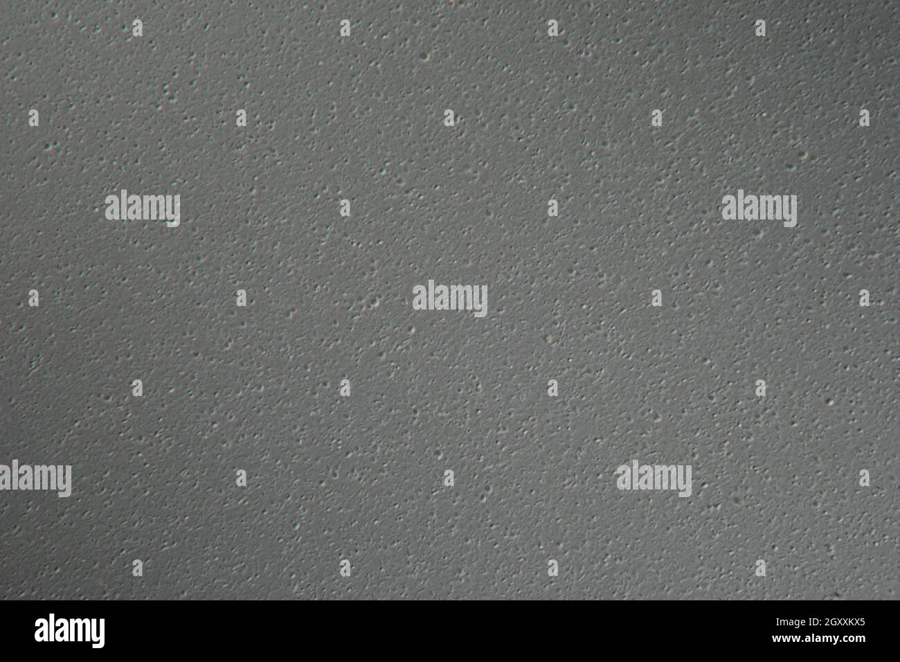 emulsified milk with fat droplets under the microscope 400x Stock Photo ...