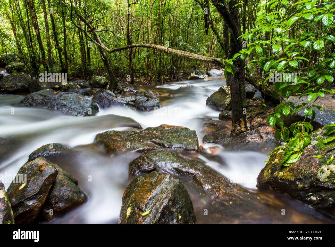 Tranh waterfall in Phu Quoc Island Stock Photo - Alamy