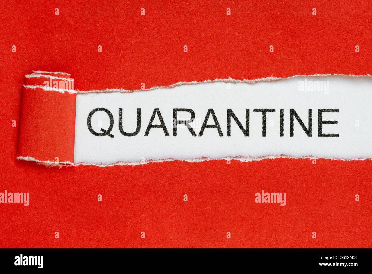 Top view of red torn paper and the text QUARANTINE on a white ...