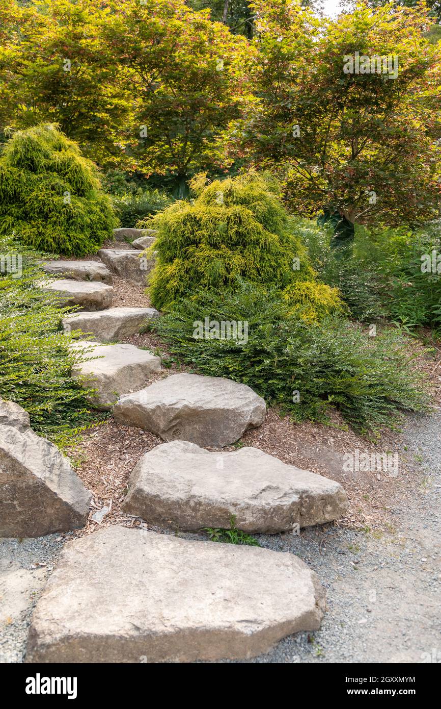 Stepping stones abstract hi-res stock photography and images - Alamy
