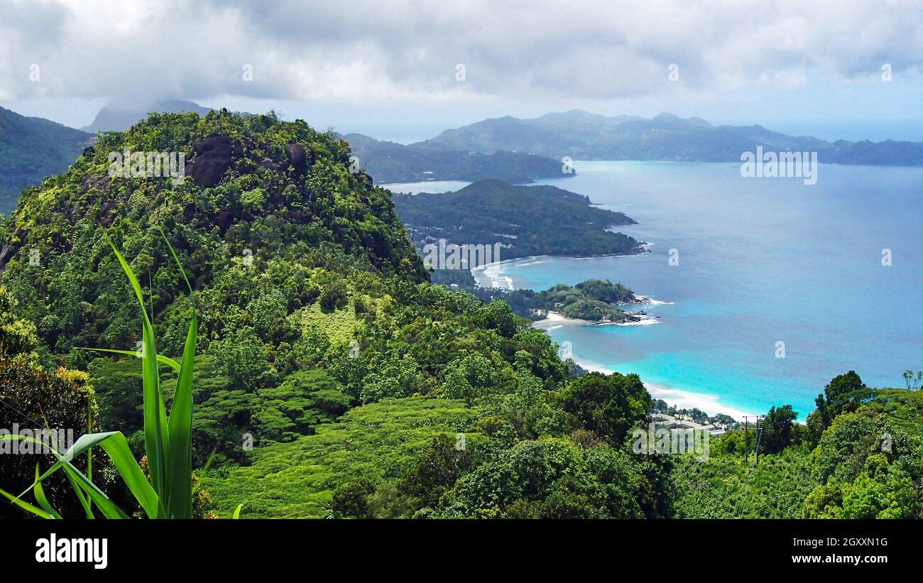 A Panoramic View of nature on the Seychelles with green forests, fresh ...