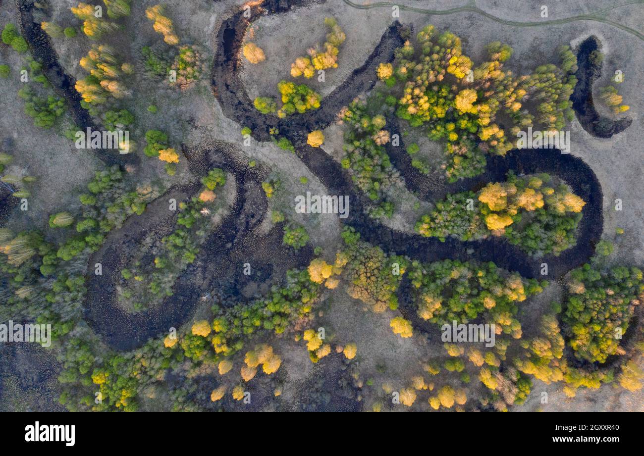 Swampy plain hi-res stock photography and images - Alamy