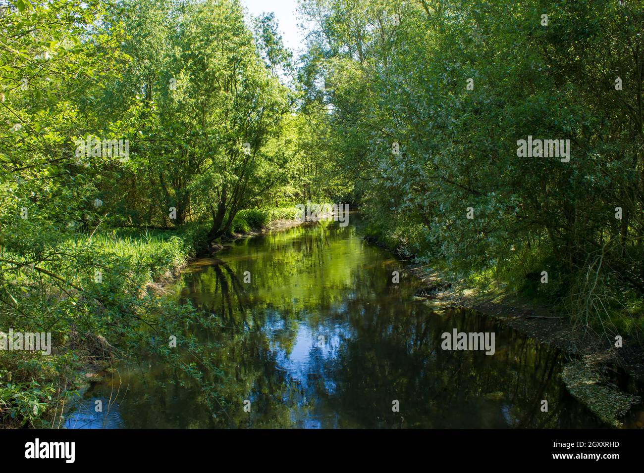 Niers River, Geldern, Germany Stock Photo - Alamy
