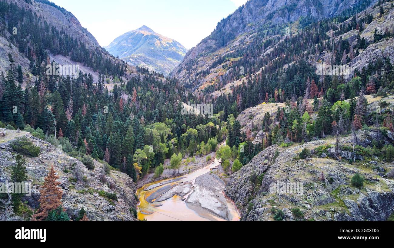 Open valley in the mountains filled with pine trees Stock Photo - Alamy