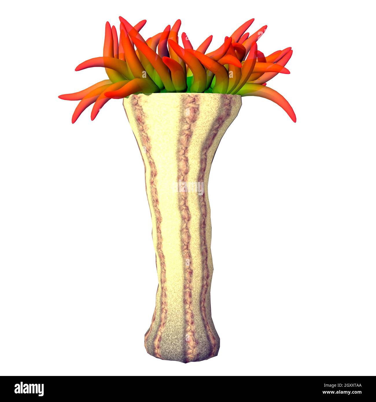 This sea animal called an Anemone is a predator in the seas of the ...