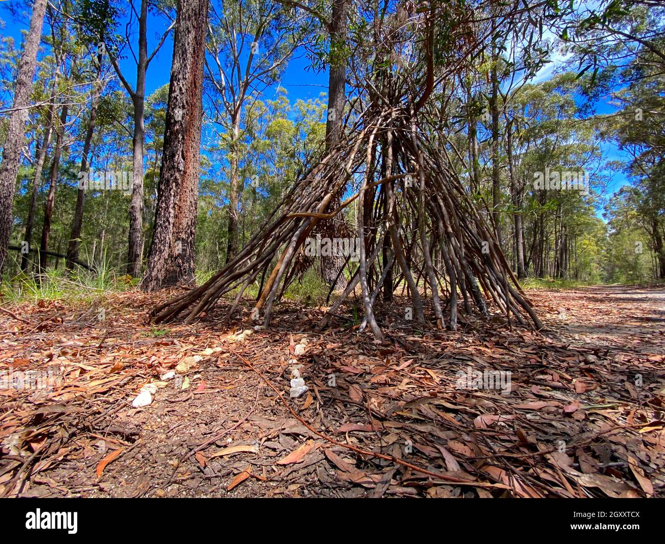House Made Of Sticks