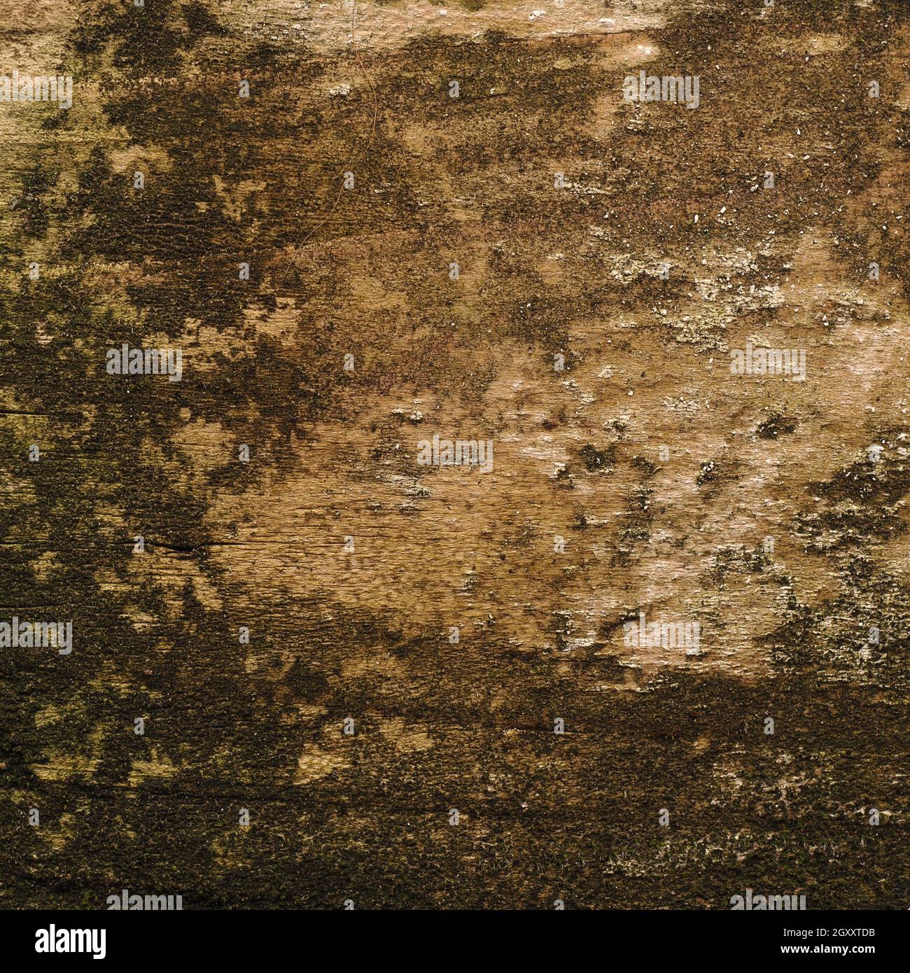 Old weathered wood as background, wood texture, backdrop Stock Photo ...