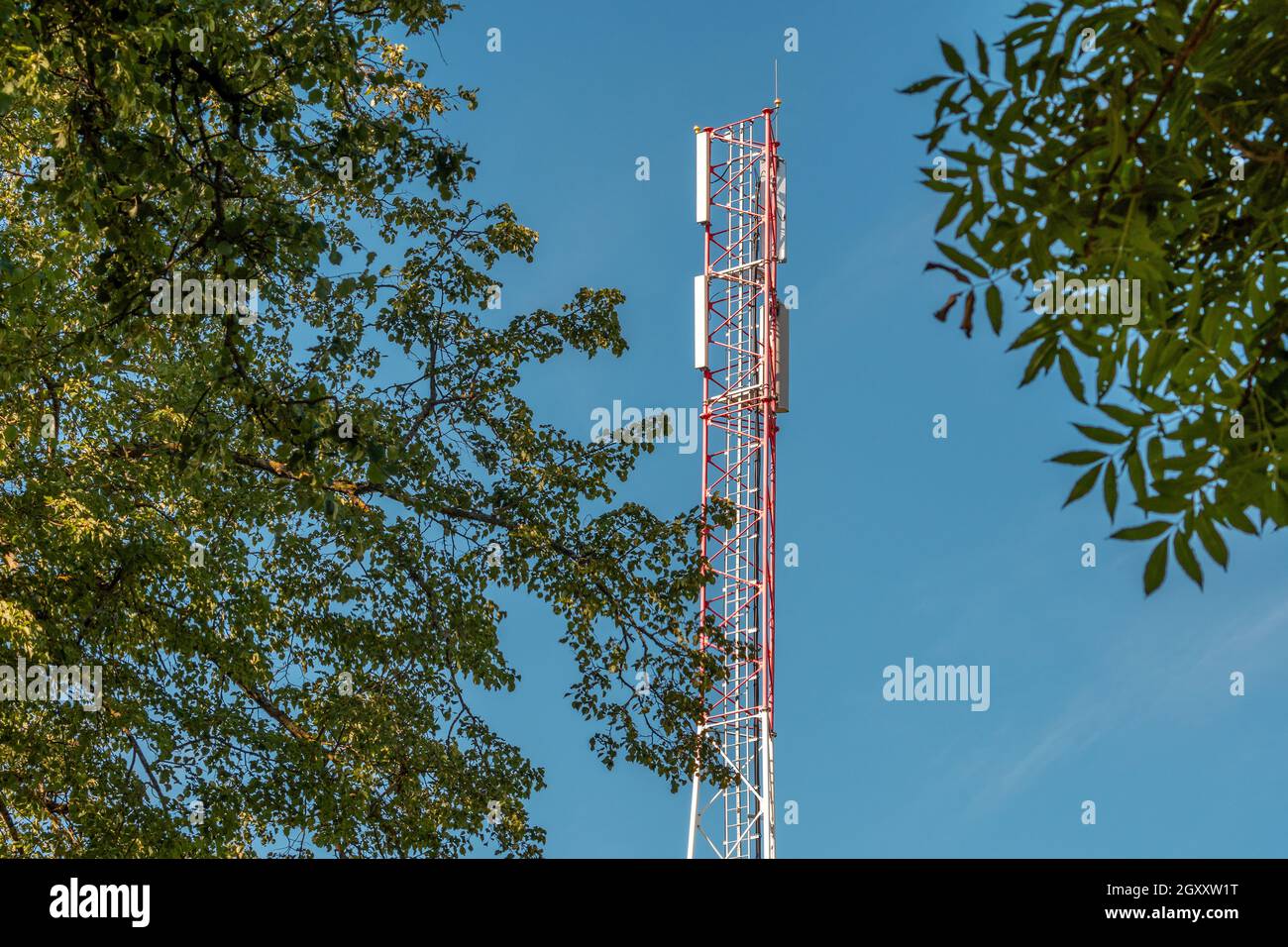 High speed internet signal tower visible through the green trees ...
