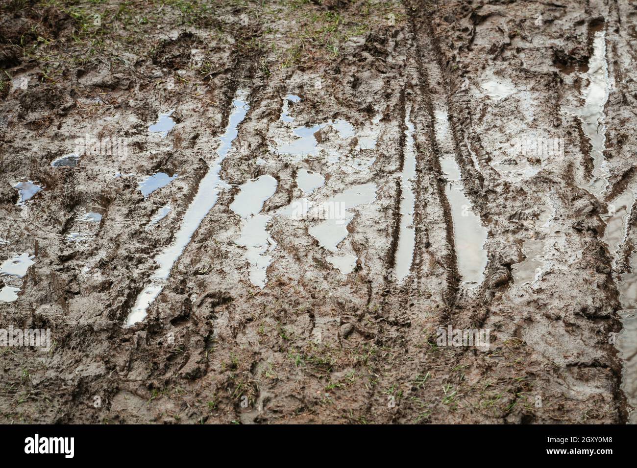 Mountain bike traces in the wet mud Stock Photo - Alamy