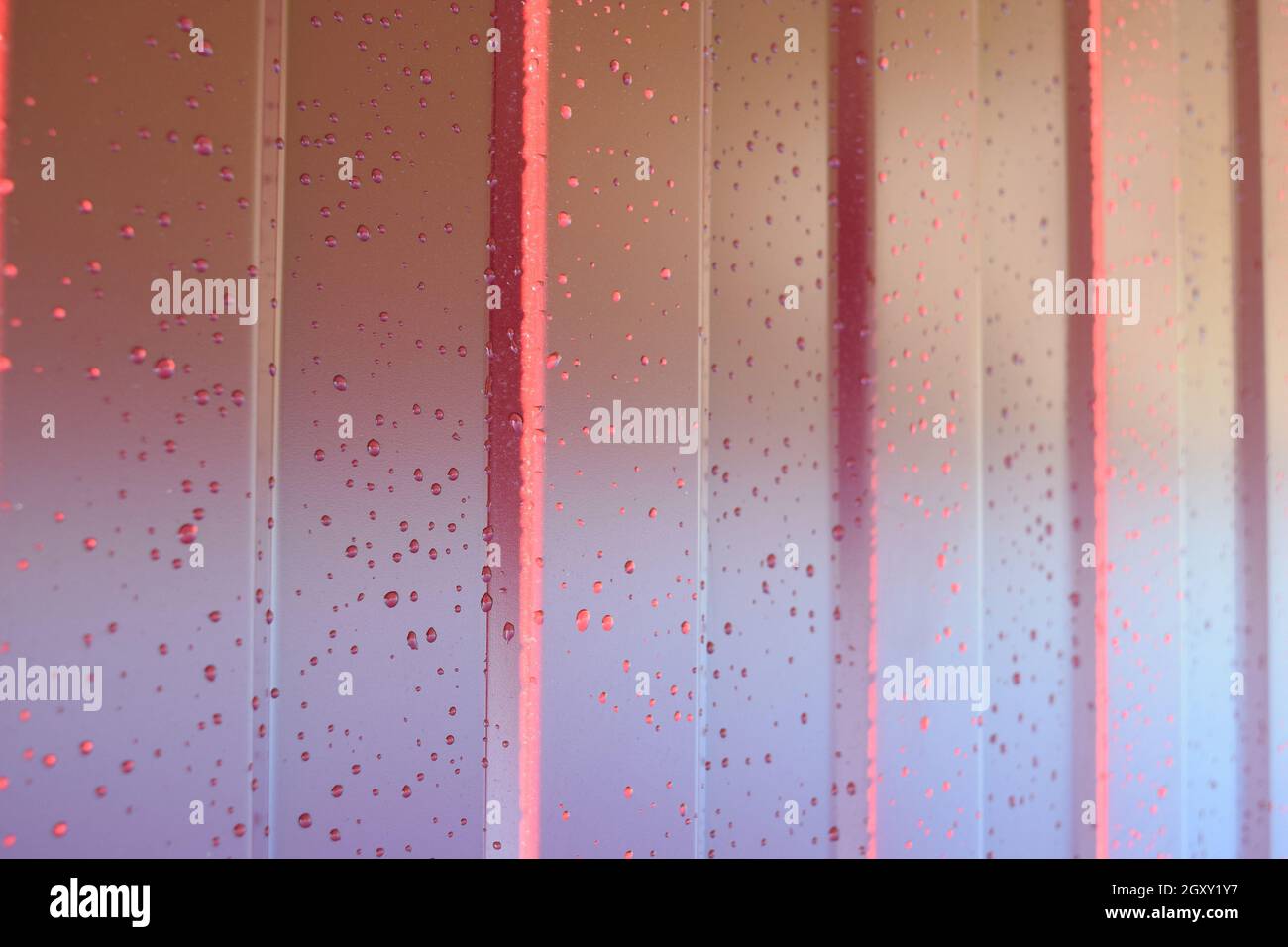 Diagonal pattern of metal profile. Fences from the galvanized iron ...