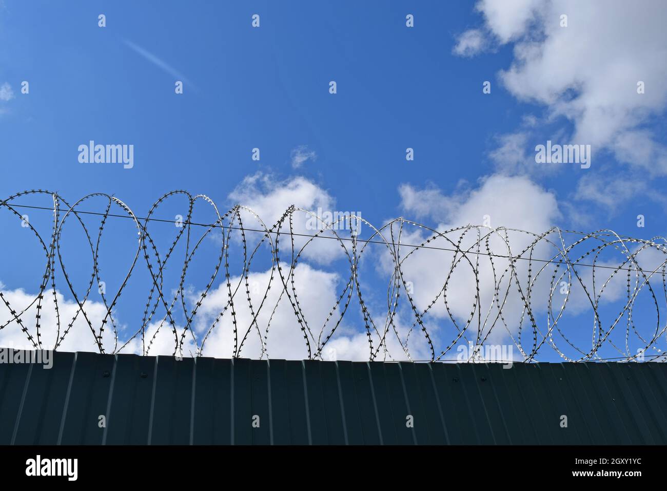 Diagonal pattern of metal profile. Fences from the galvanized iron ...