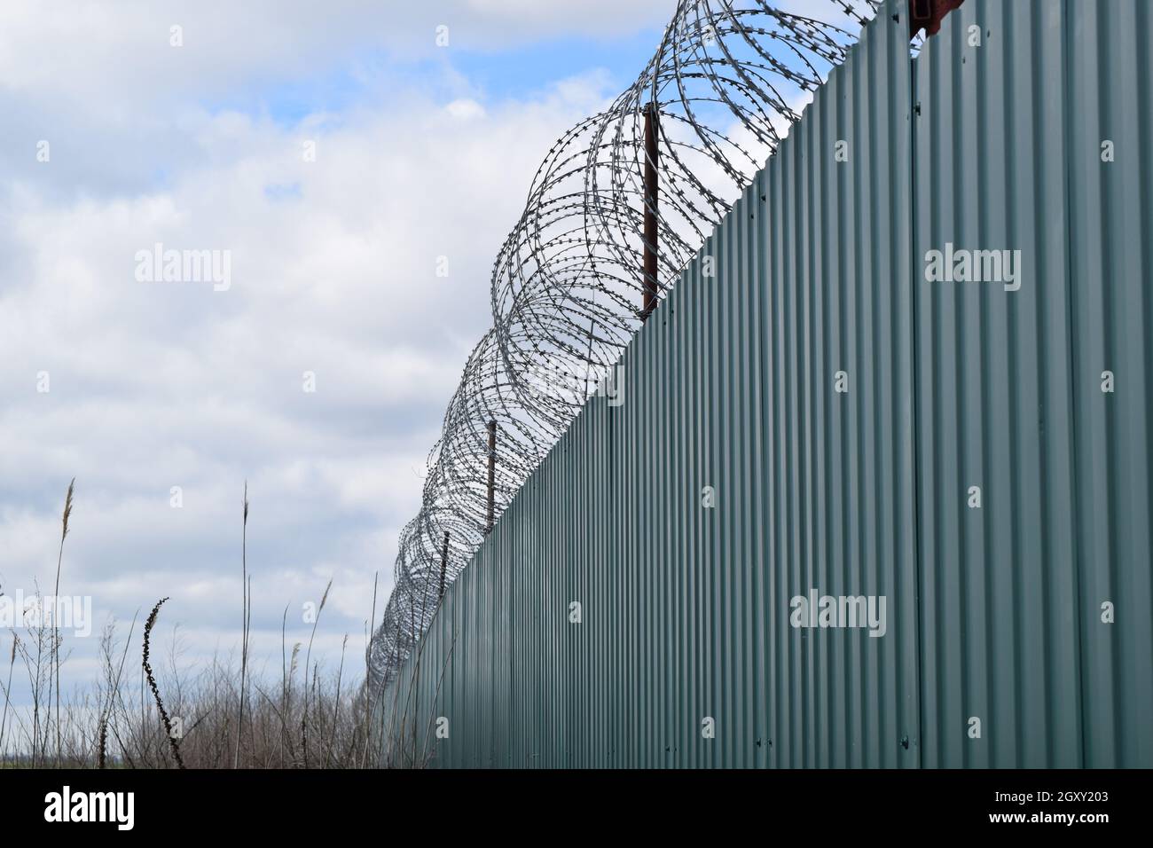 Diagonal pattern of metal profile. Fences from the galvanized iron ...