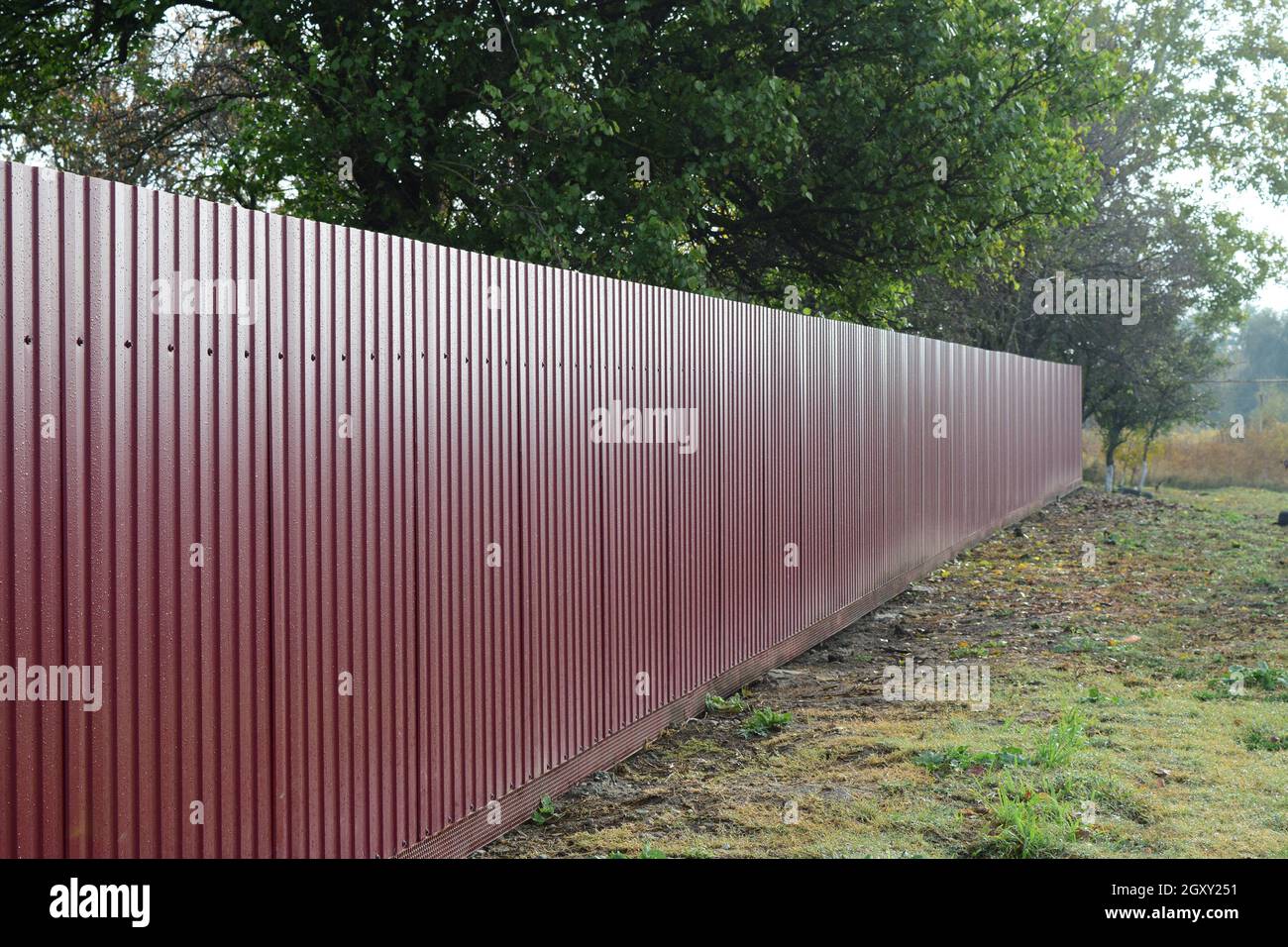 Diagonal pattern of metal profile. Fences from the galvanized iron ...