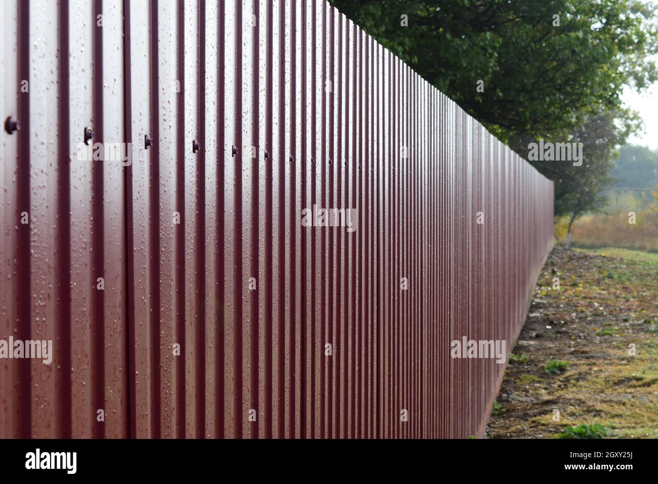 Diagonal pattern of metal profile. Fences from the galvanized iron ...