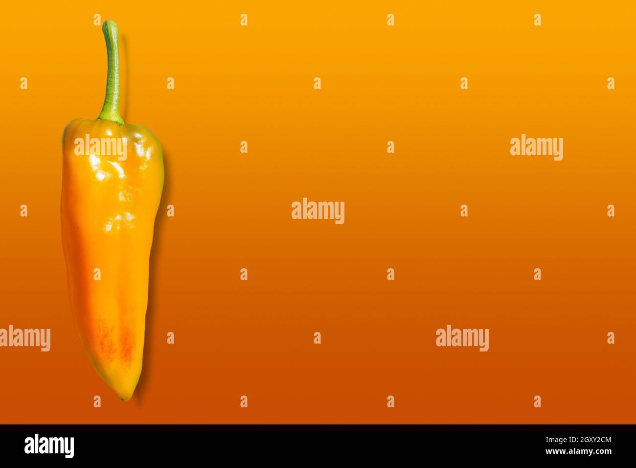 yellow pepper over matching colour gradient background with copy space ...