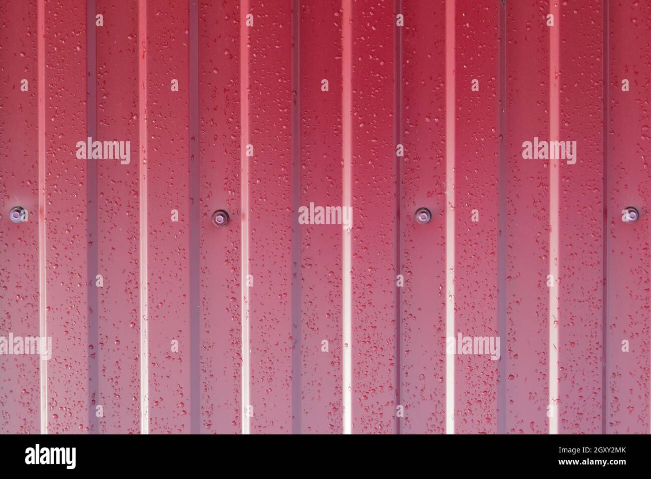 Diagonal pattern of metal profile. Fences from the galvanized iron ...