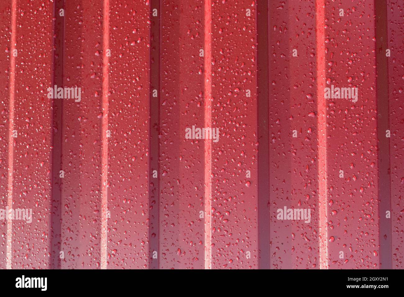 Diagonal pattern of metal profile. Fences from the galvanized iron ...