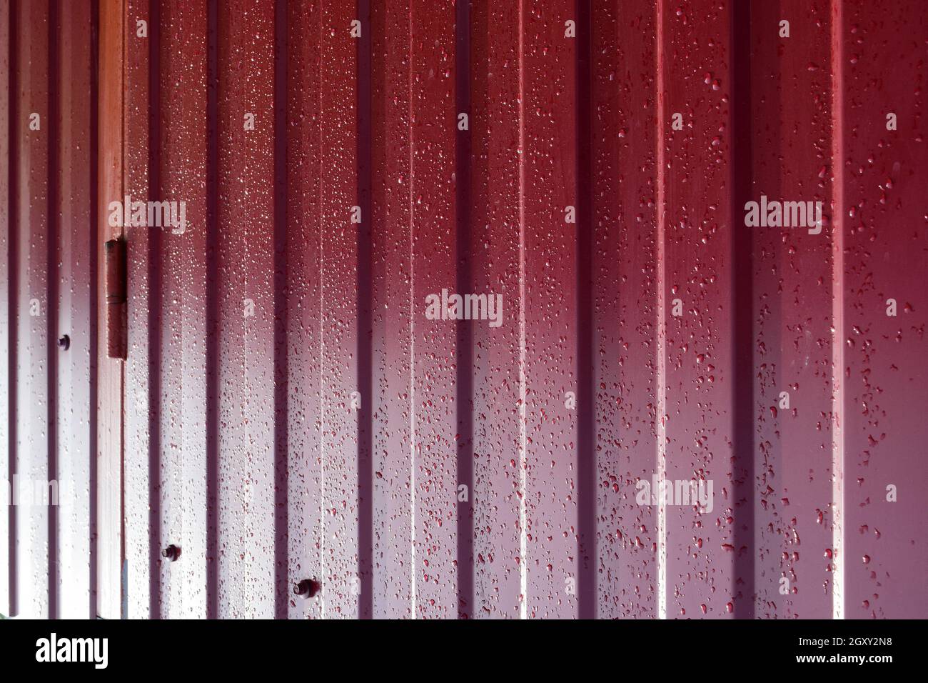 Diagonal pattern of metal profile. Fences from the galvanized iron ...