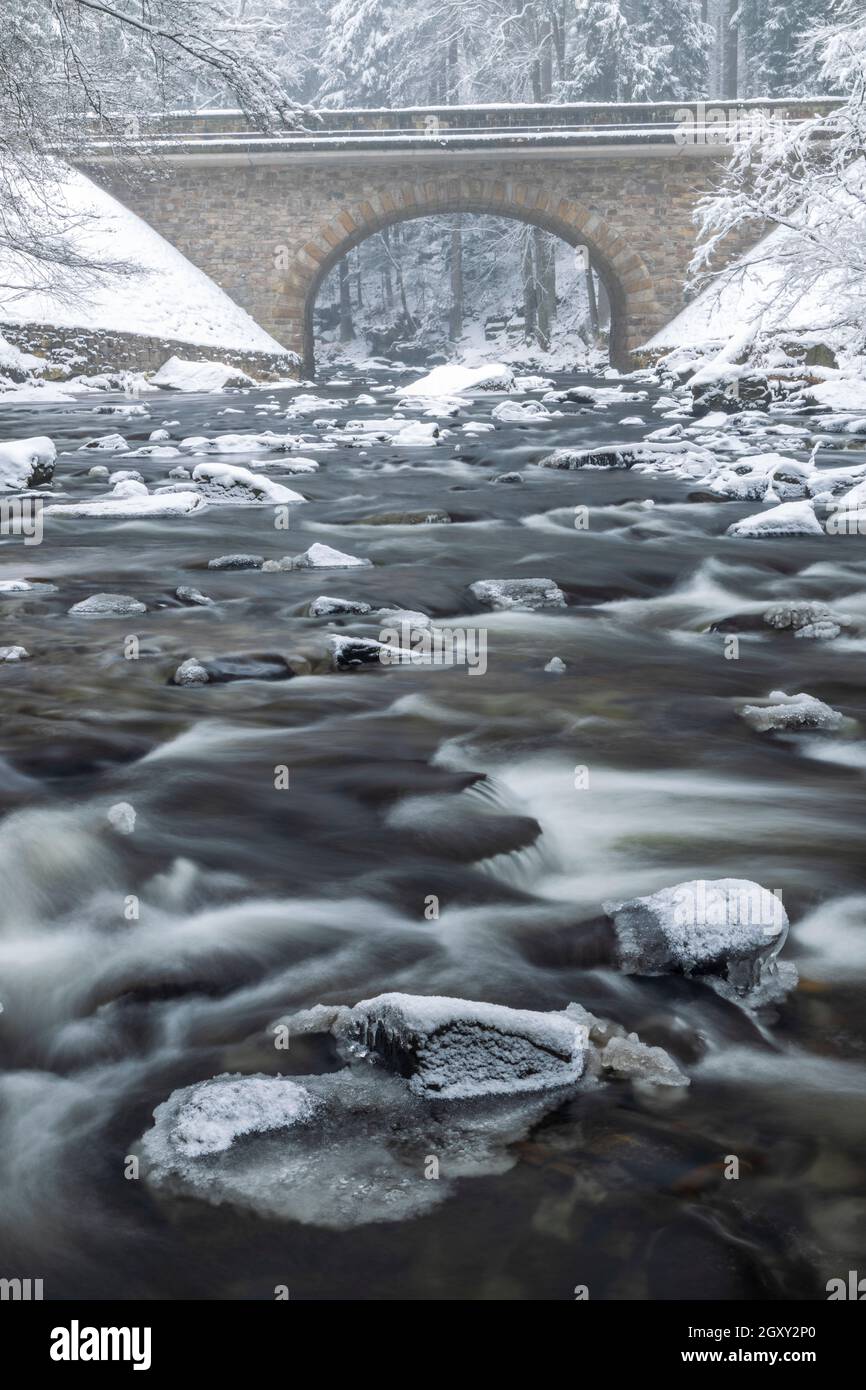 Divoka Orlice river in Zemska brana, Orlicke mountains, Eastern Bohemia ...