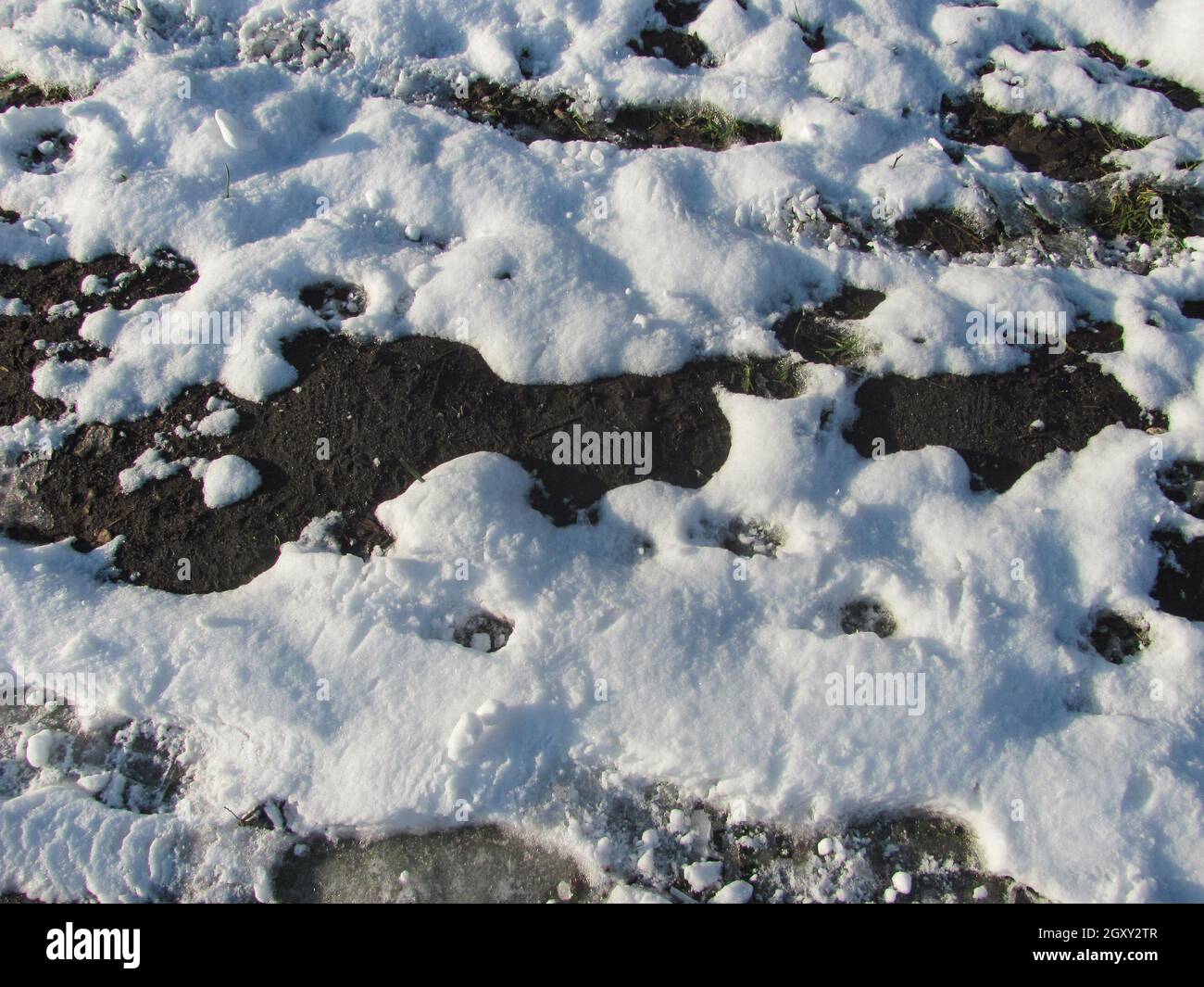Background: muddy spring melting snow Stock Photo - Alamy