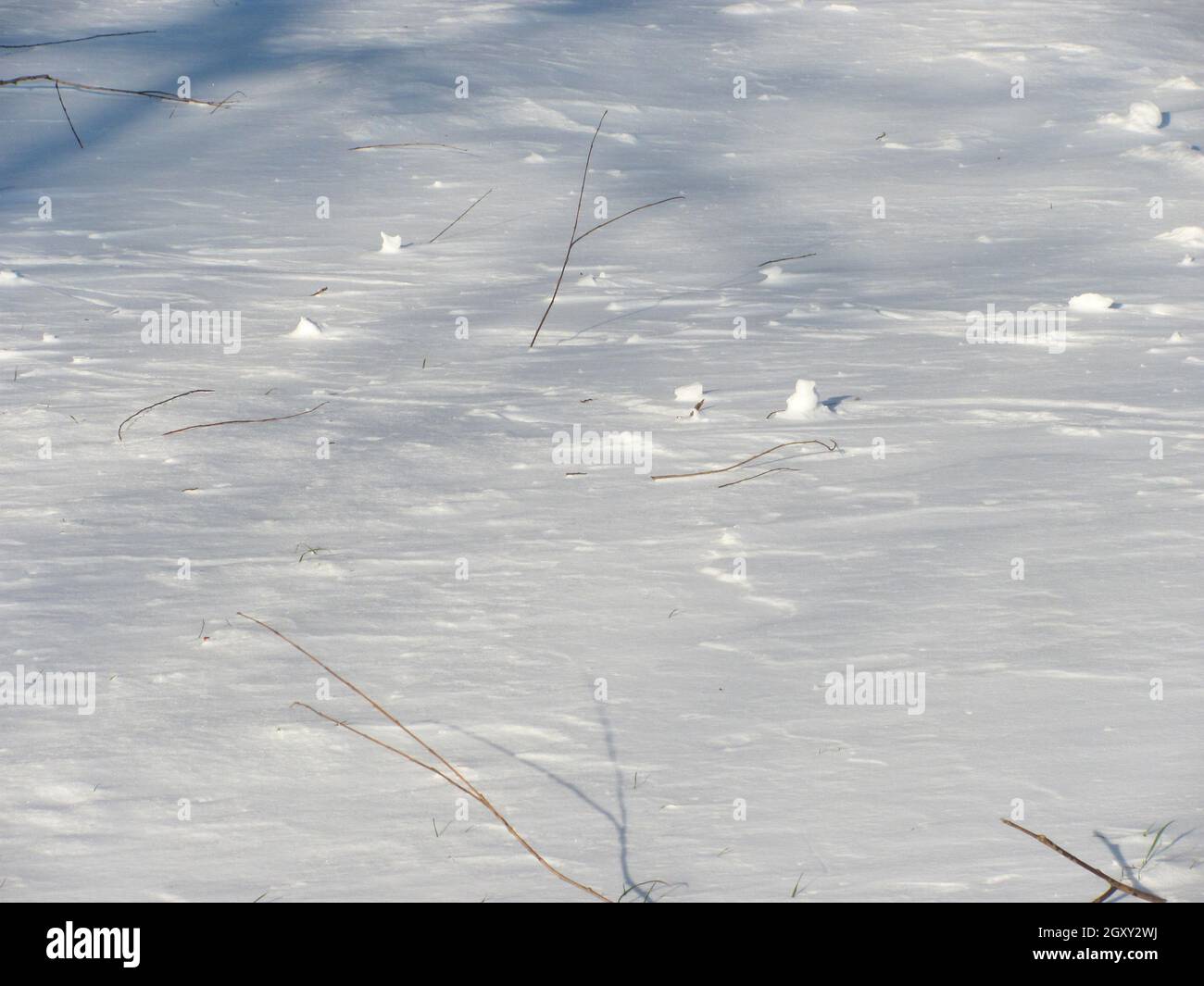 pure white snow: abstract background Stock Photo - Alamy