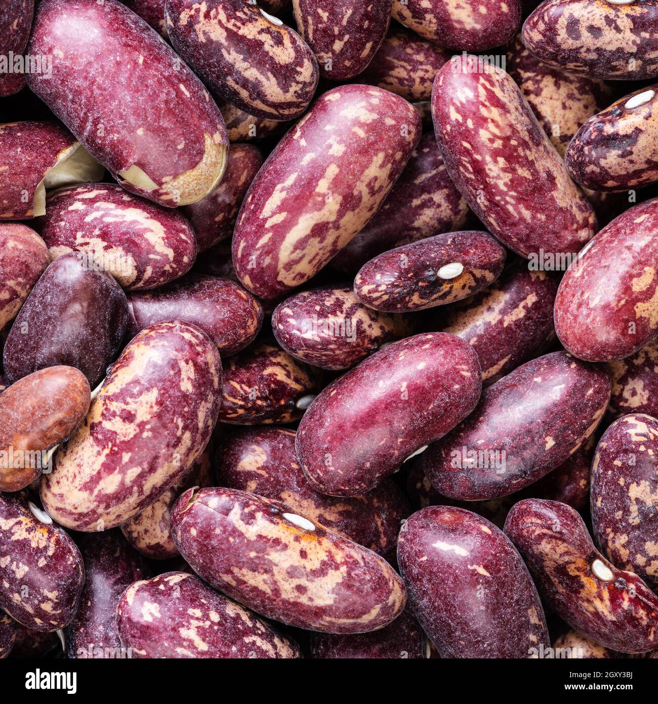 square food background - raw red spotted pinto beans close up Stock ...