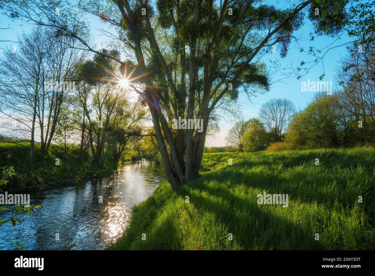 An idyllic sunset on a small river with green embankments Stock Photo ...