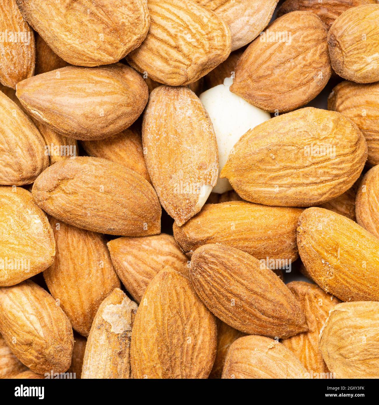 square food background - raw apricot kernels close up Stock Photo - Alamy