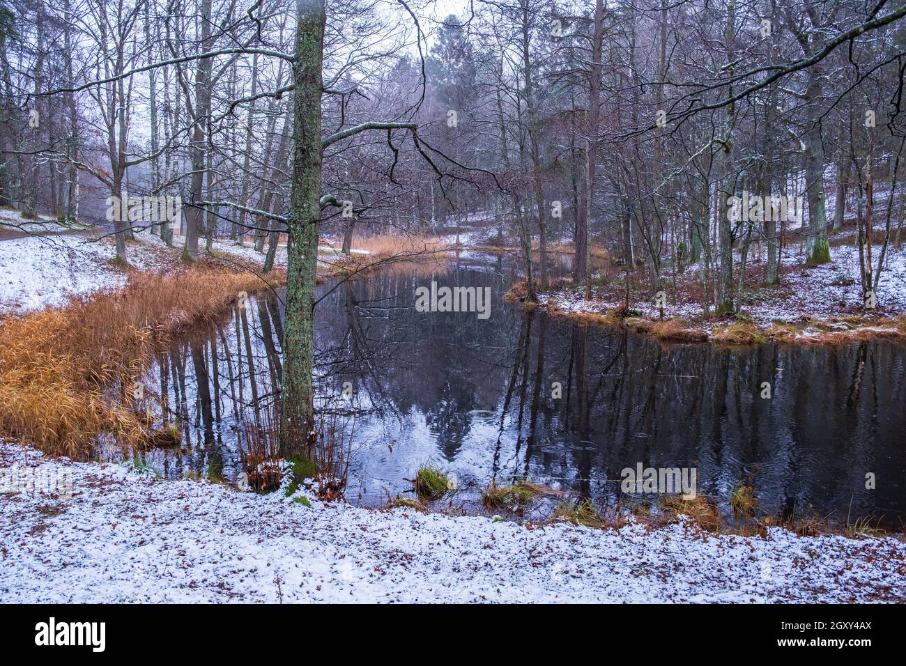 Winding river with snow in winter Stock Photo - Alamy