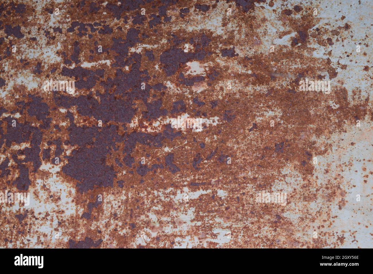 the sheet of iron rusty with the peeled-off paint. Background and ...