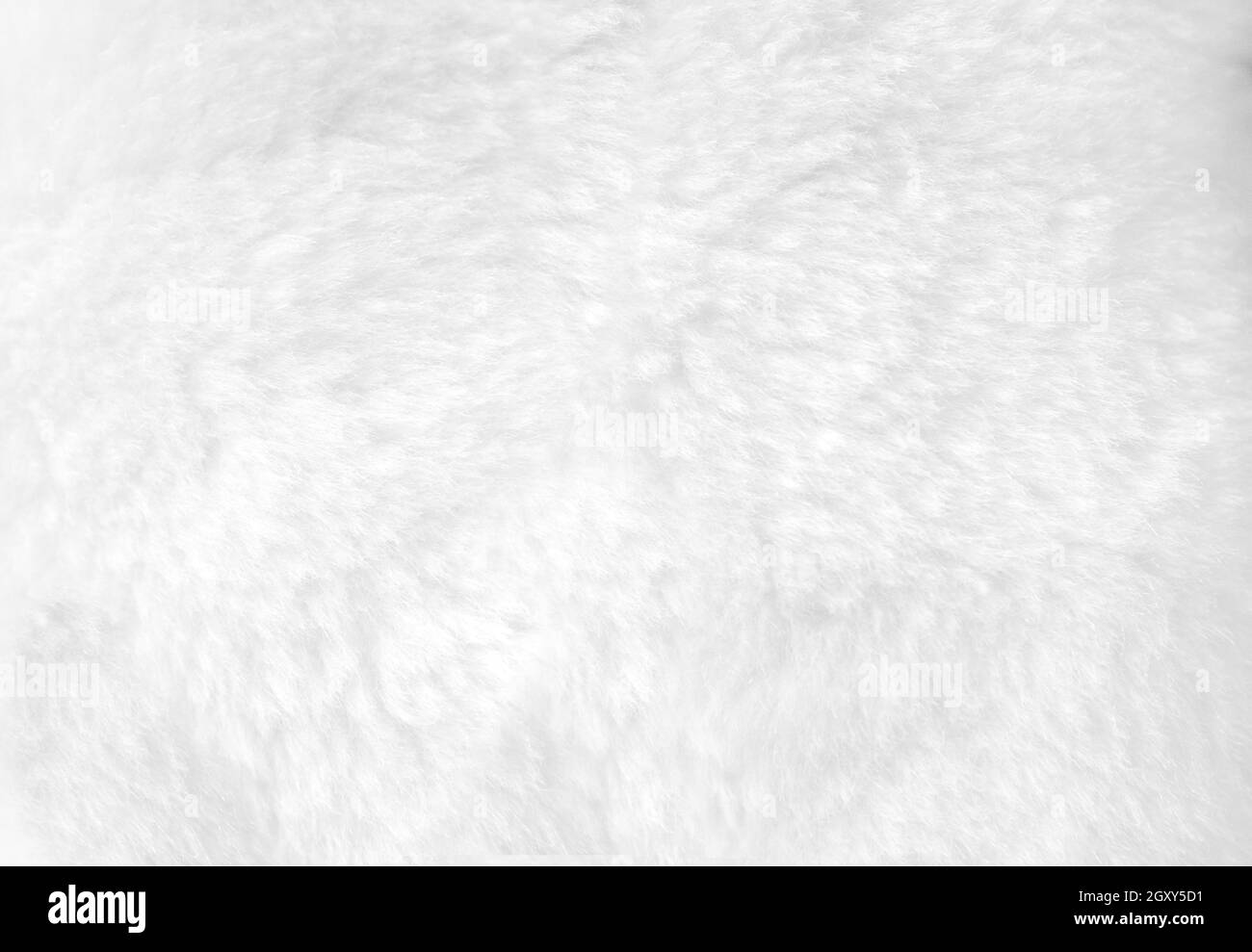 Clean white fur background close up view. Texture wallpaper Stock Photo ...