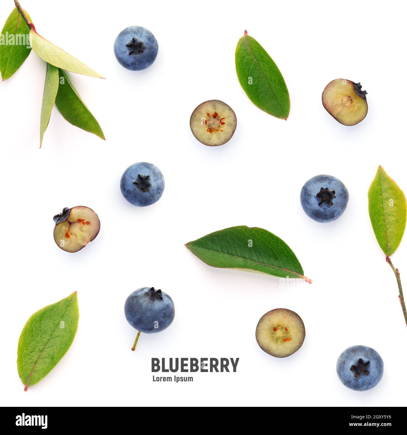 Fresh blueberries with green leaves, isolated on white background. Cut ...