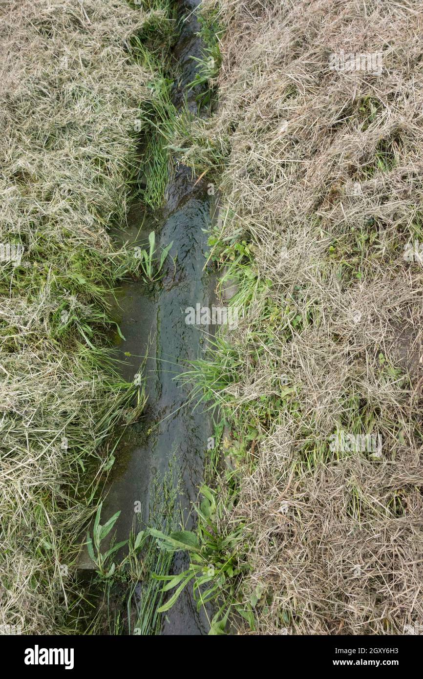Runnel Rivulet High Resolution Stock Photography and Images - Alamy