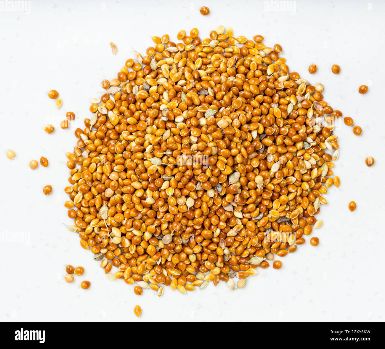Handful of millet hi-res stock photography and images - Alamy