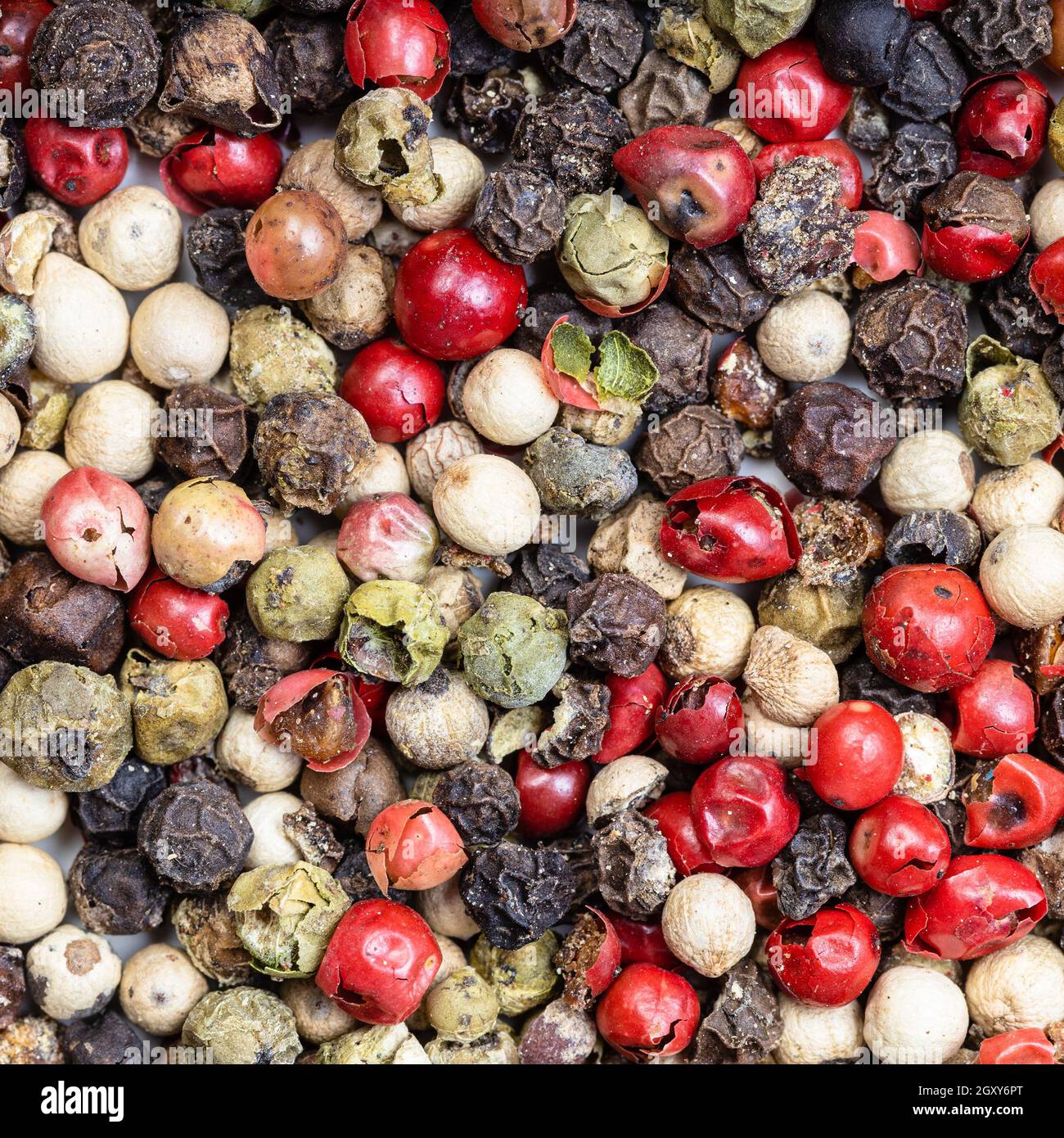 square food background - Four Pepper Blend peppercorns close up Stock ...