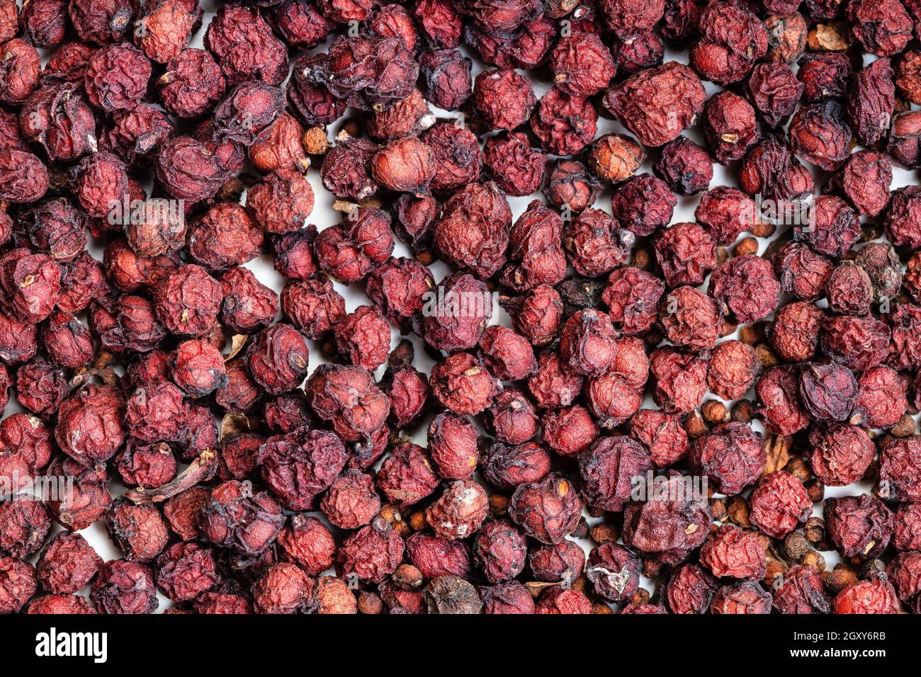 food background - dried magnolia berries (Schisandra chinensis fruits ...