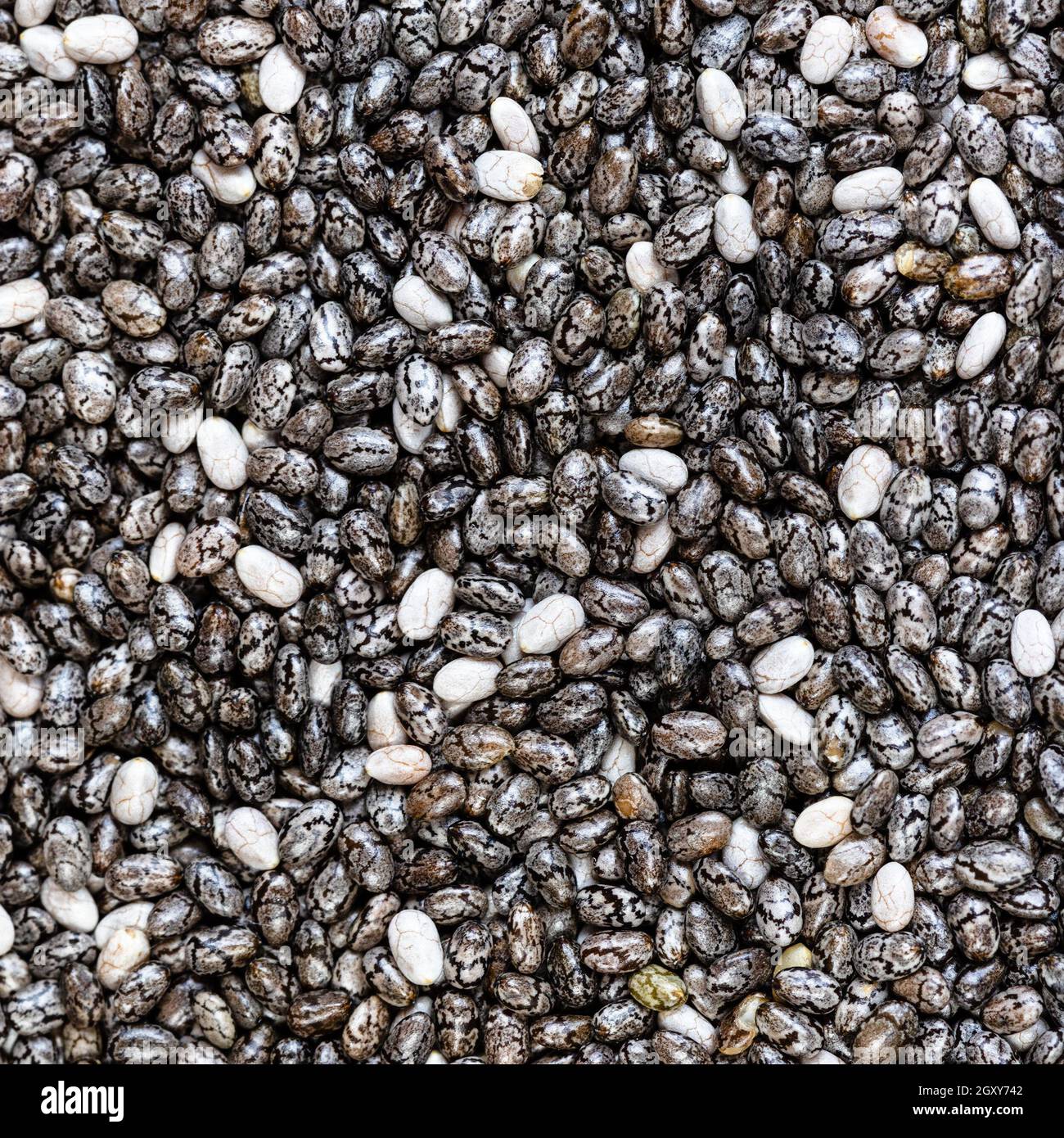 square food background - chia seeds close up Stock Photo - Alamy