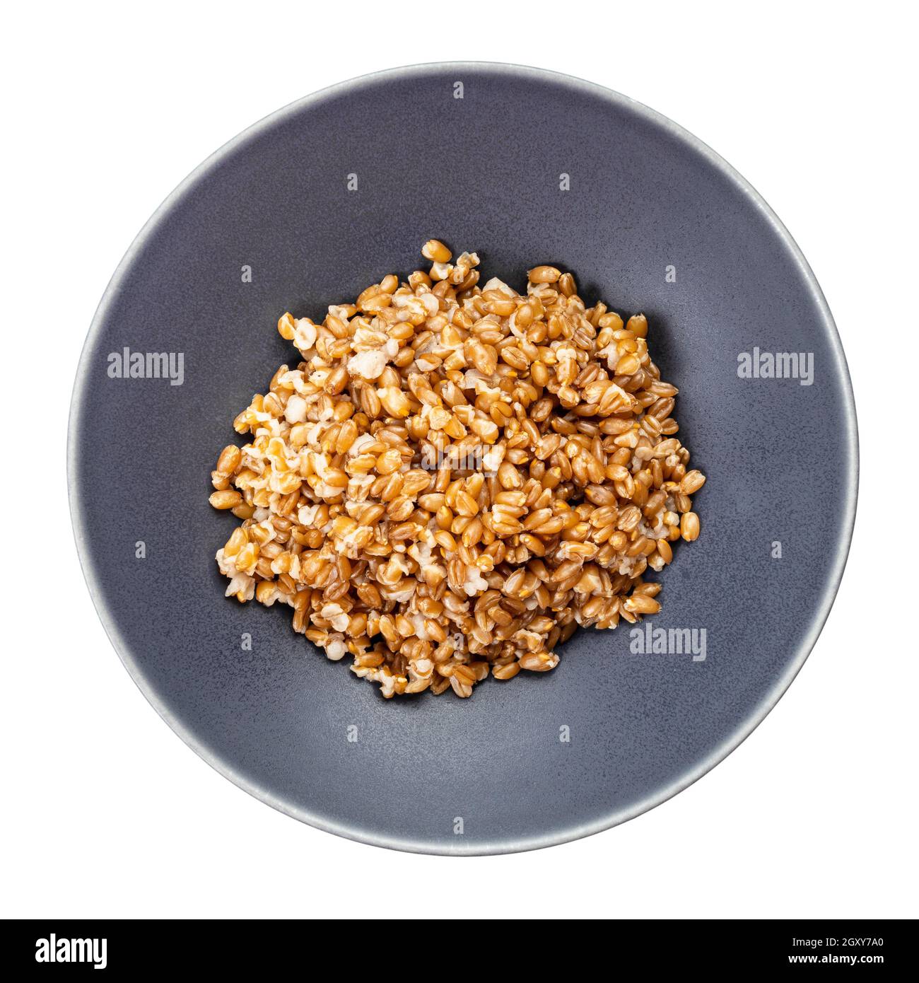 top view of boiled porridge from whole spelt grains in gray bowl ...