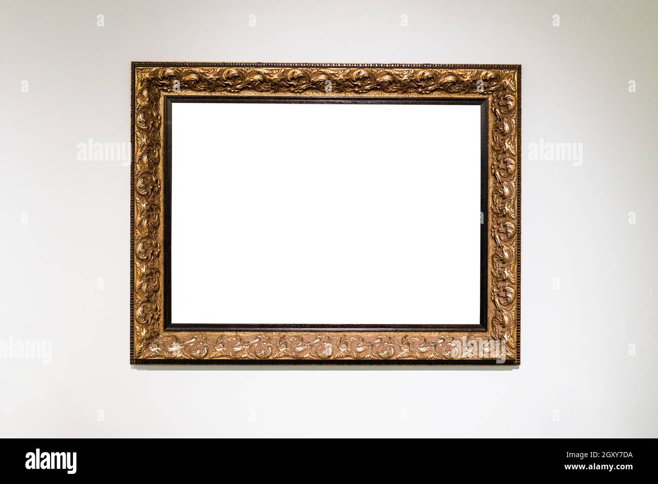 old carved wide bronze picture frame with cutout canvas on white wall ...