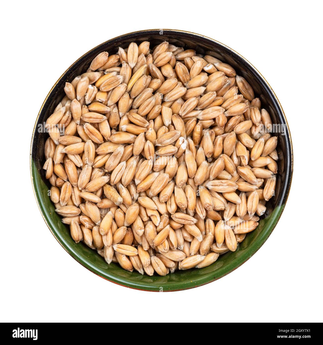 top view of spelt wheat grains in round bowl isolated on white ...
