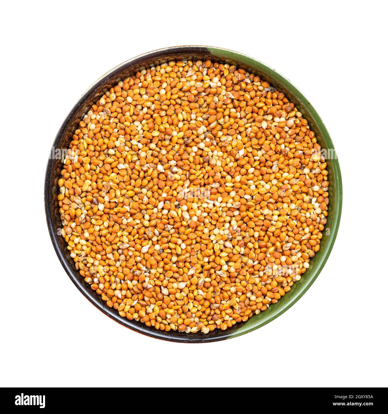 Gomi Cut Out Stock Images & Pictures - Alamy