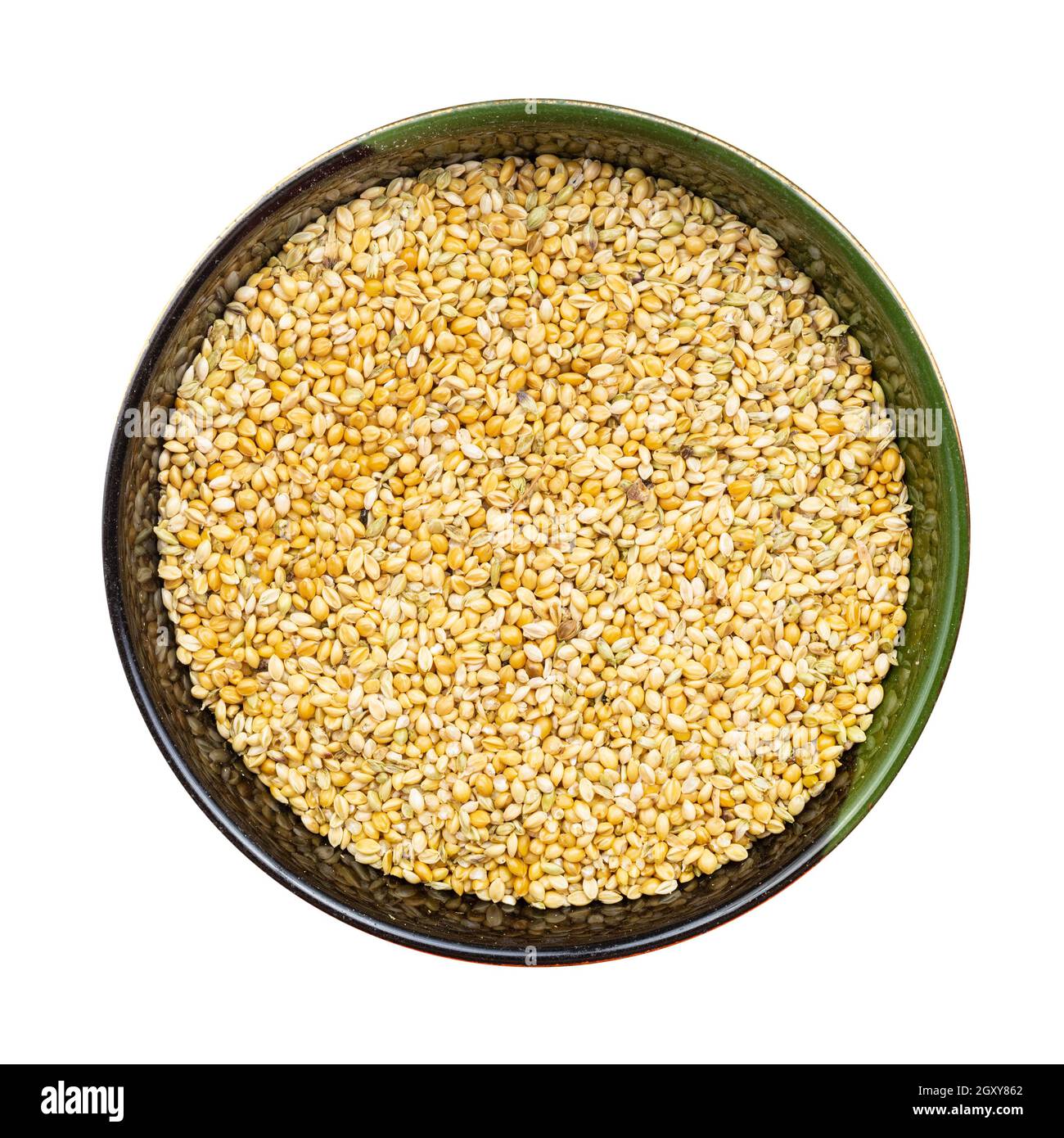 top view of whole-grain foxtail millet seeds in round bowl isolated on ...