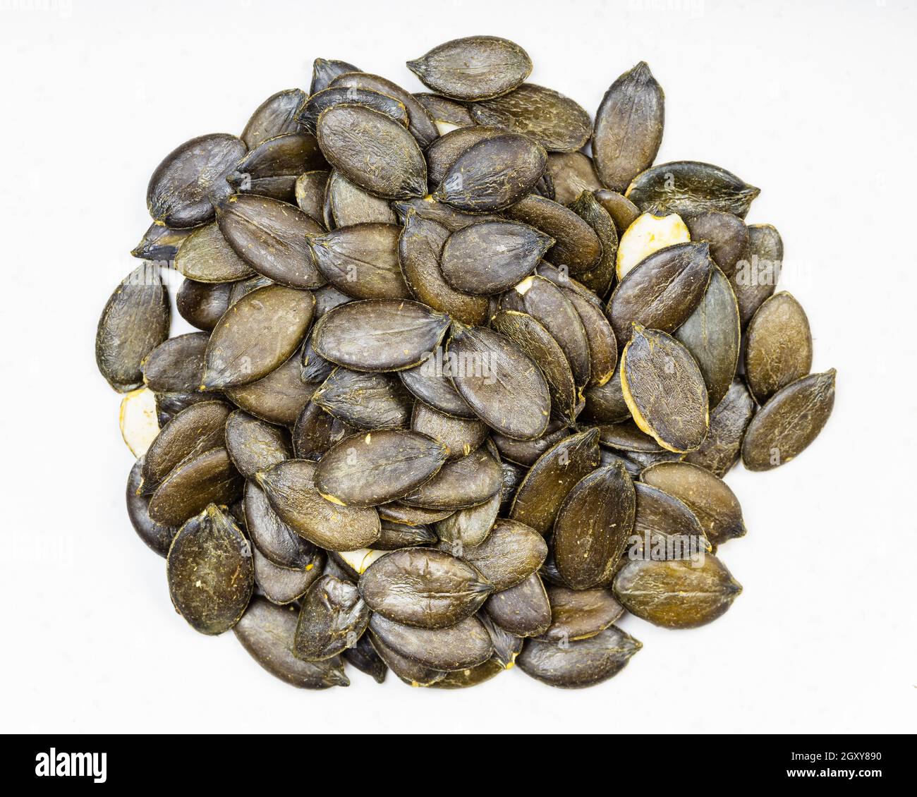 top view of pile of styrian pumpkin hulless seeds close up on gray ...